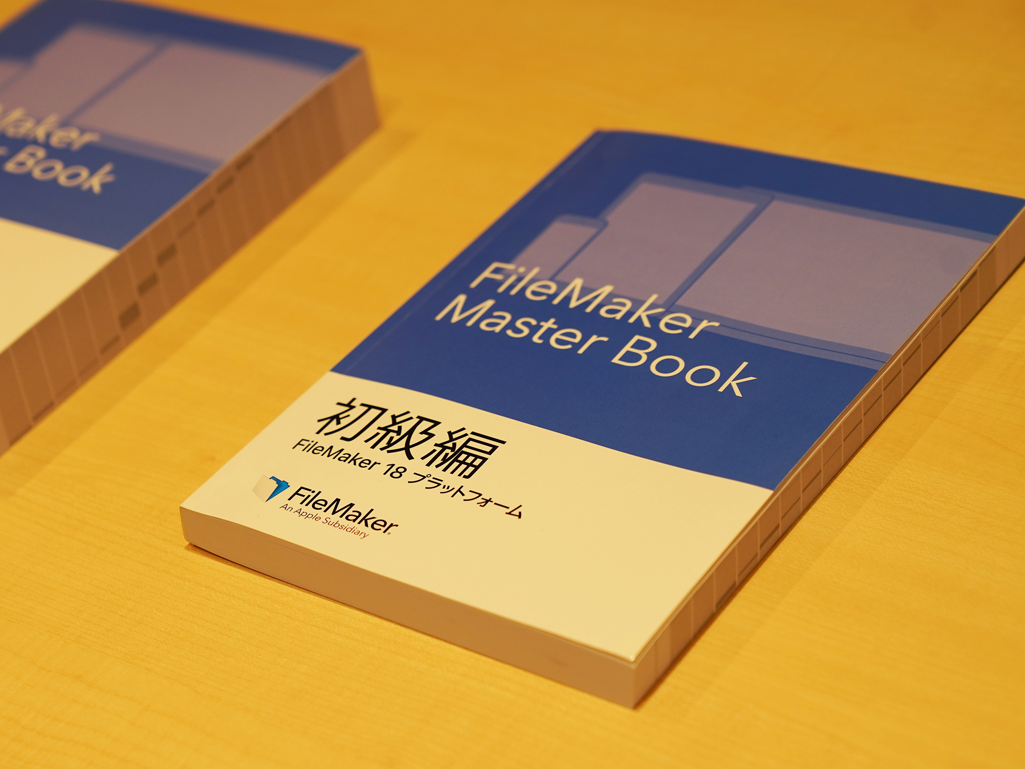 好奇心をくすぐり続けてくれるソフトウェア。多くの人に知ってもらい、業務に活かしてもらいたい。