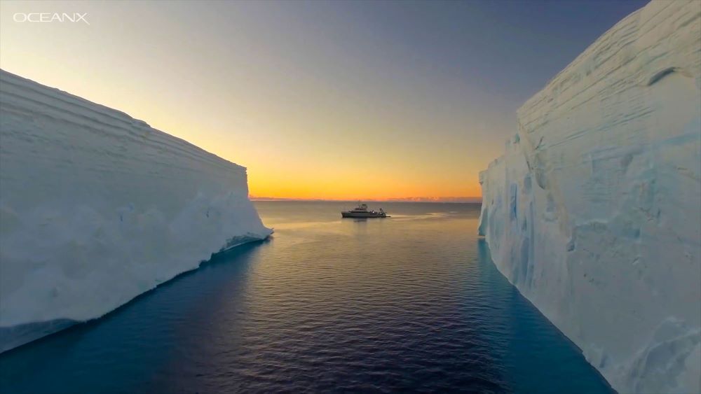 Pushing the limits of ocean discovery for the world to see.